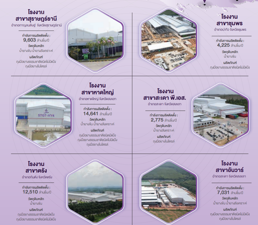 สรุปหุ้น STGT : บริษัท ศรีตรังโกลฟส์ (ประเทศไทย) จำกัด (มหาชน) | Liberator